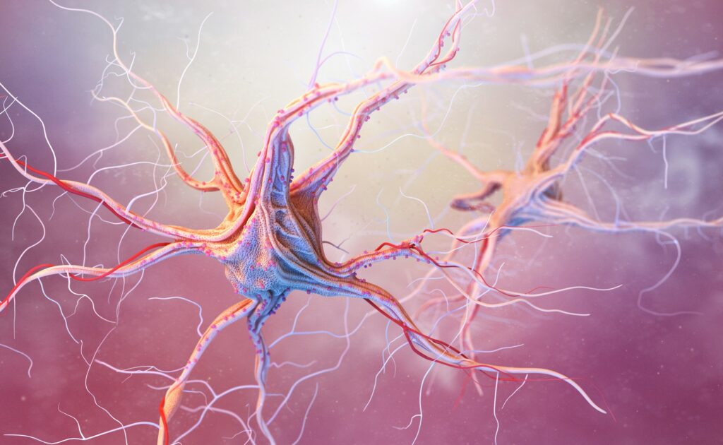 mBraining: Neurons That Wire Together Fire Together | Body in Tune
